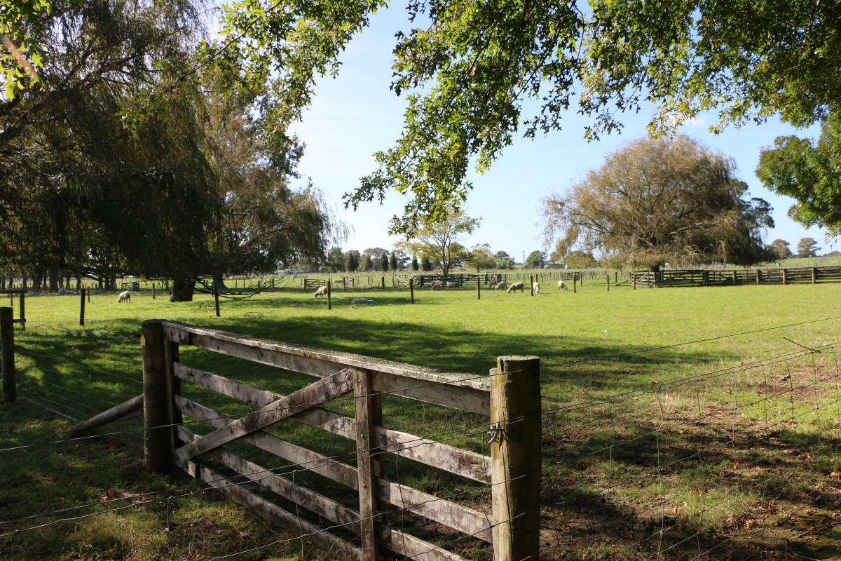 Ruakura Farm | Kitmap