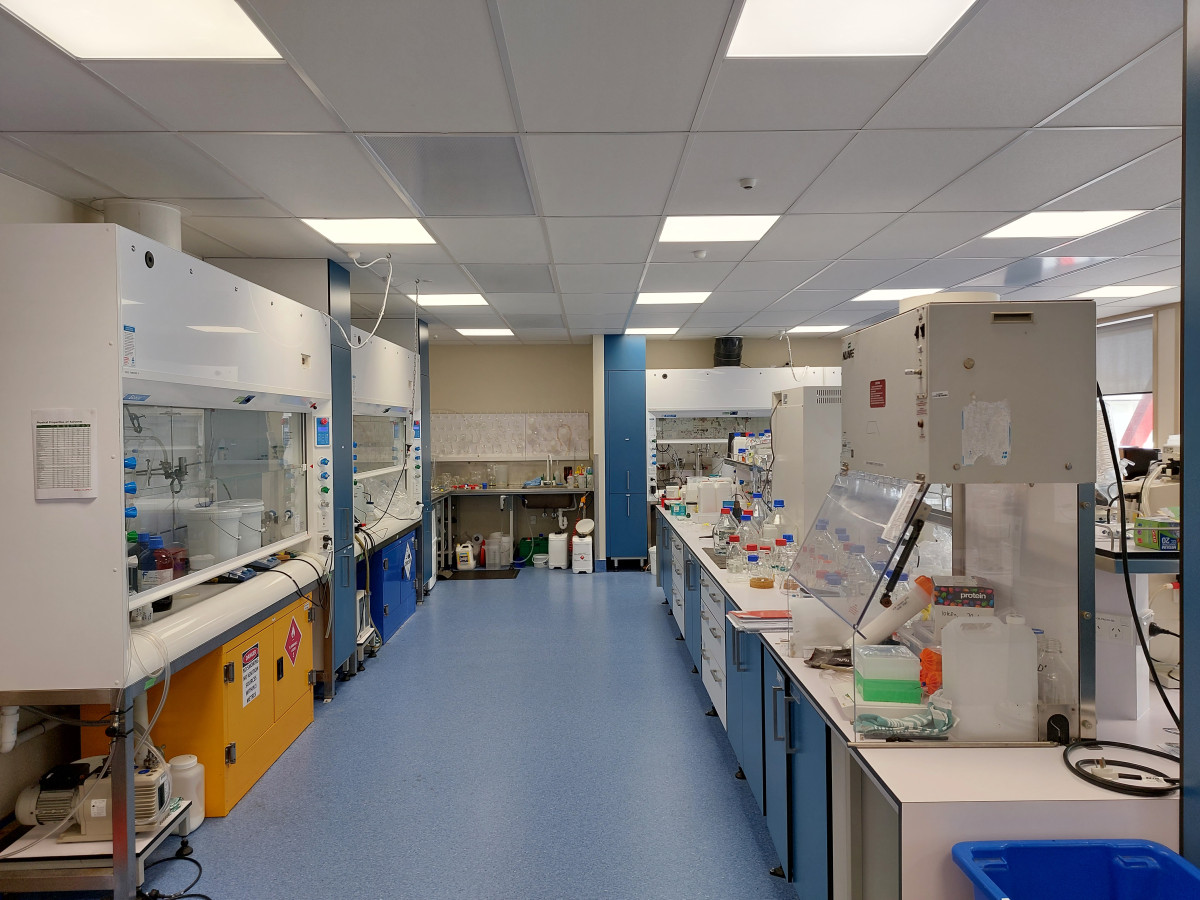 GlycoSyn PAG-13 | Kitmap