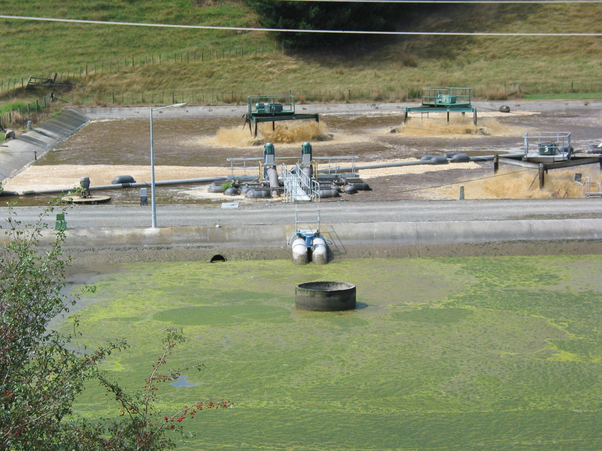 Advanced Ponds | Kitmap