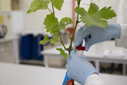 Wine research lab | Kitmap